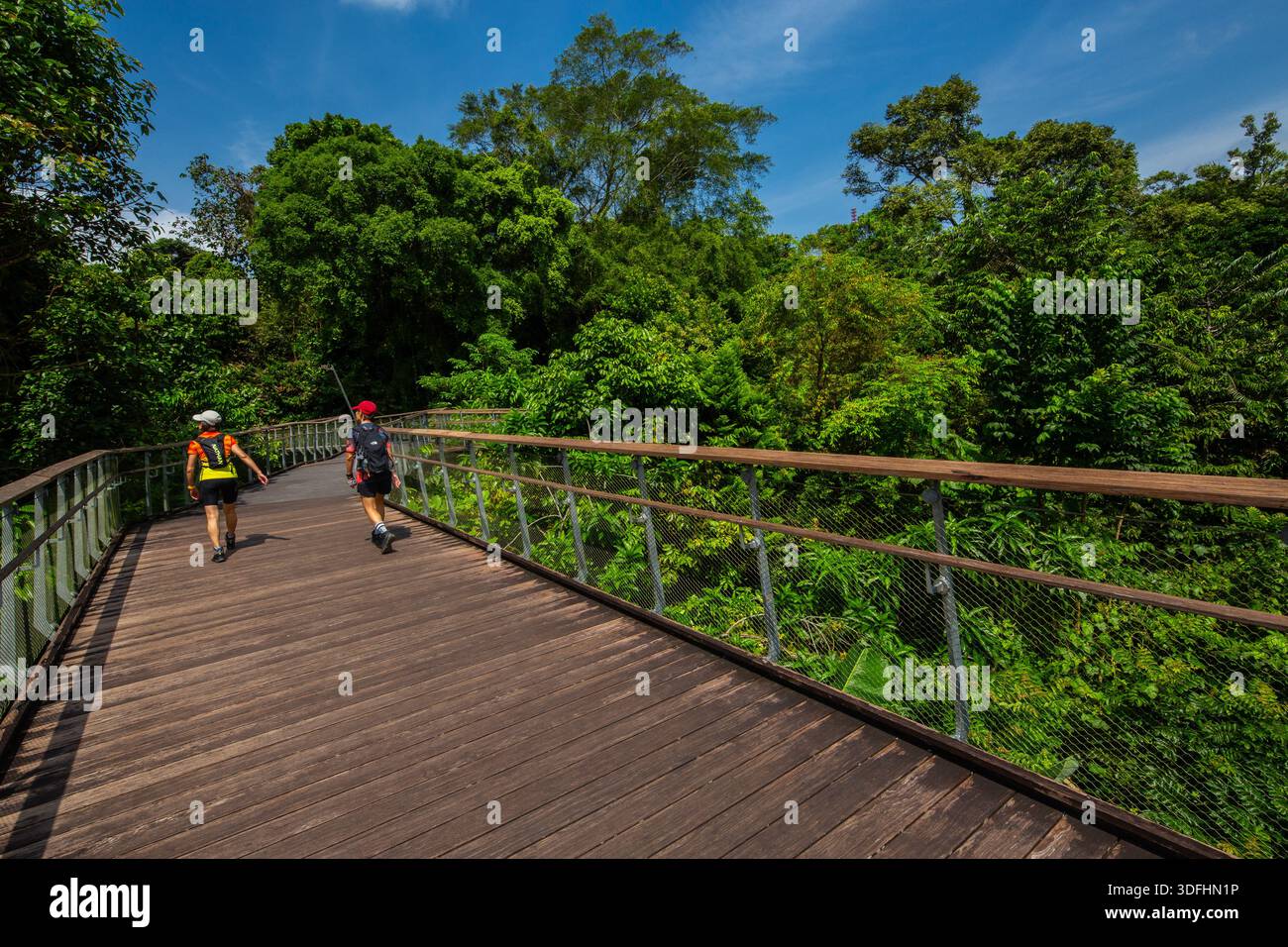 Two female hikers enjoying themselves on the rambai boardwalk at Rifle ...