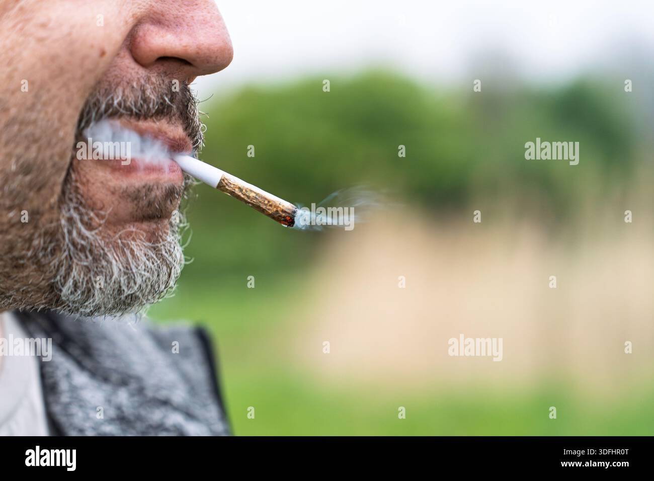 Mature Bearded Man Smoking a Joint Outdoors Health Risk, Habit, and ...