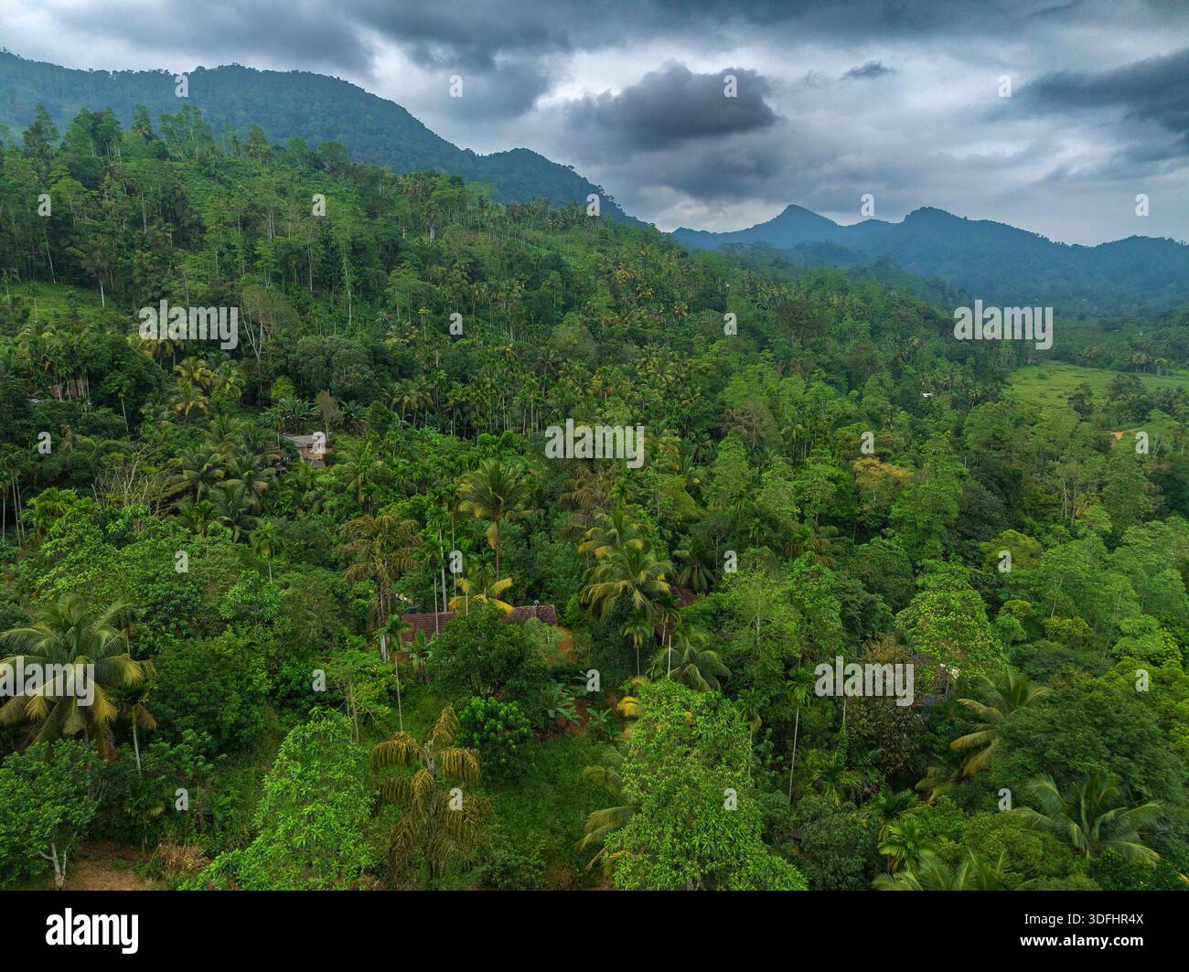Aerial View of Wild River Flowing Through Lush Tropical Rainforest ...