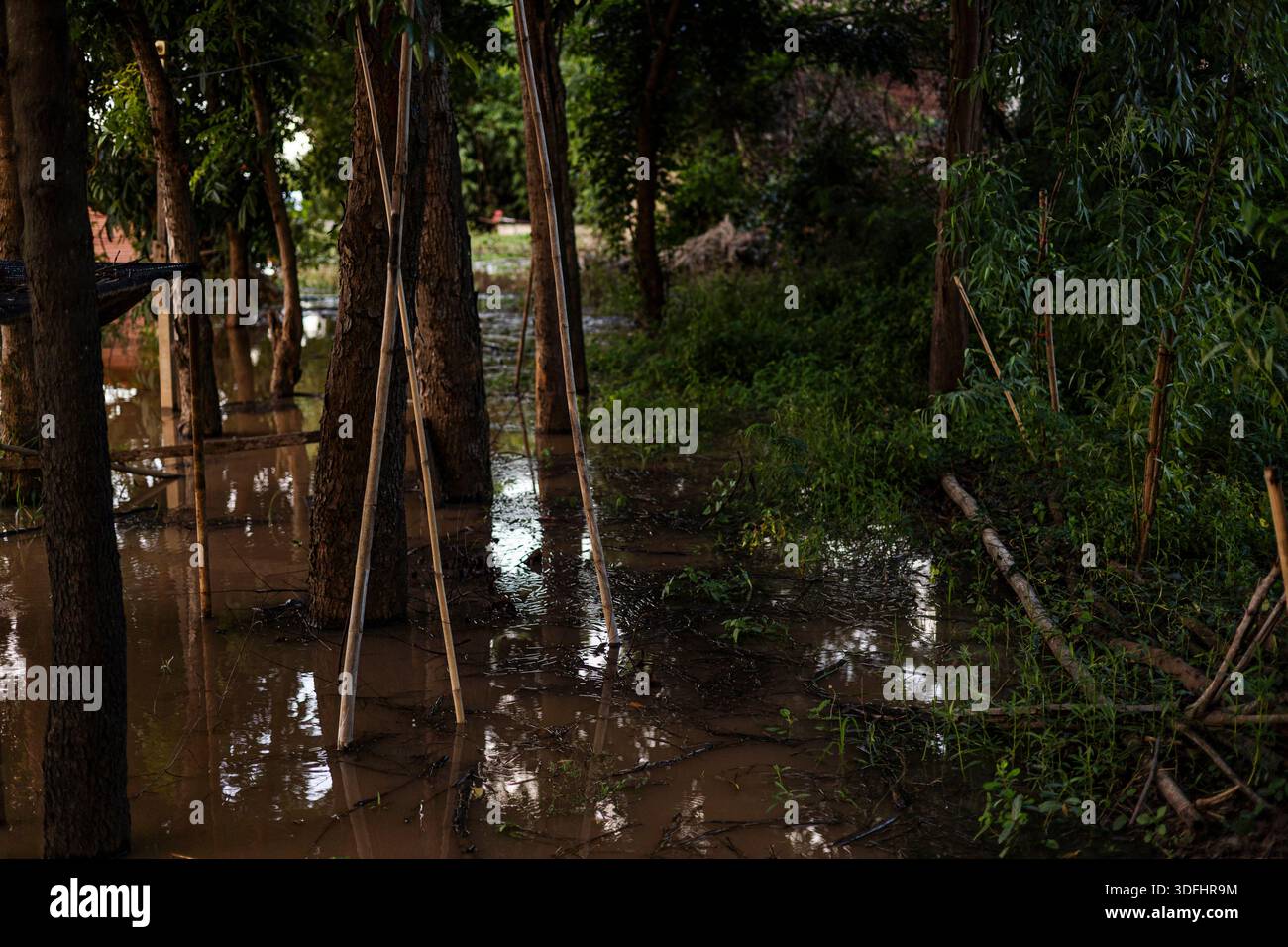 Rising Water In Rainy Flood Season, A dramatic photo of rising water in ...