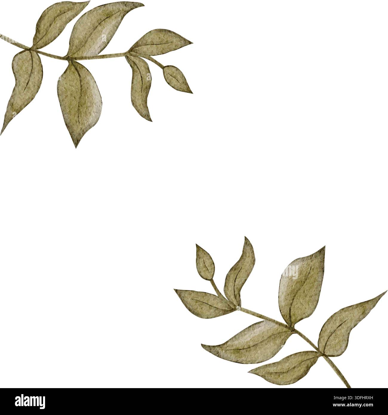 Leaf frame horizontal border, green leaves, watercolor hand-painted ...