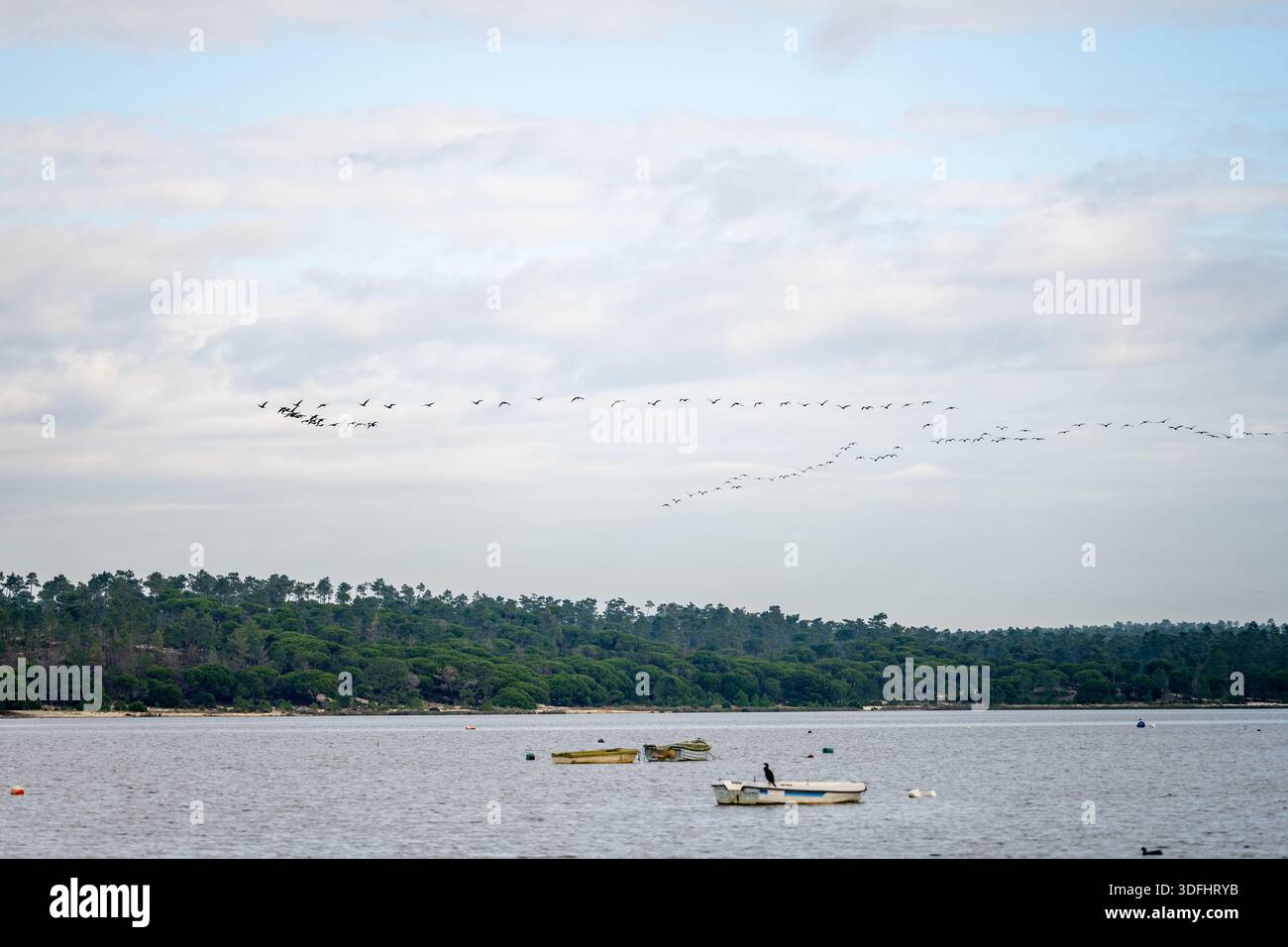 Sesimbra Portugal December 25 2025. Fishing boats float on Lagoa de ...