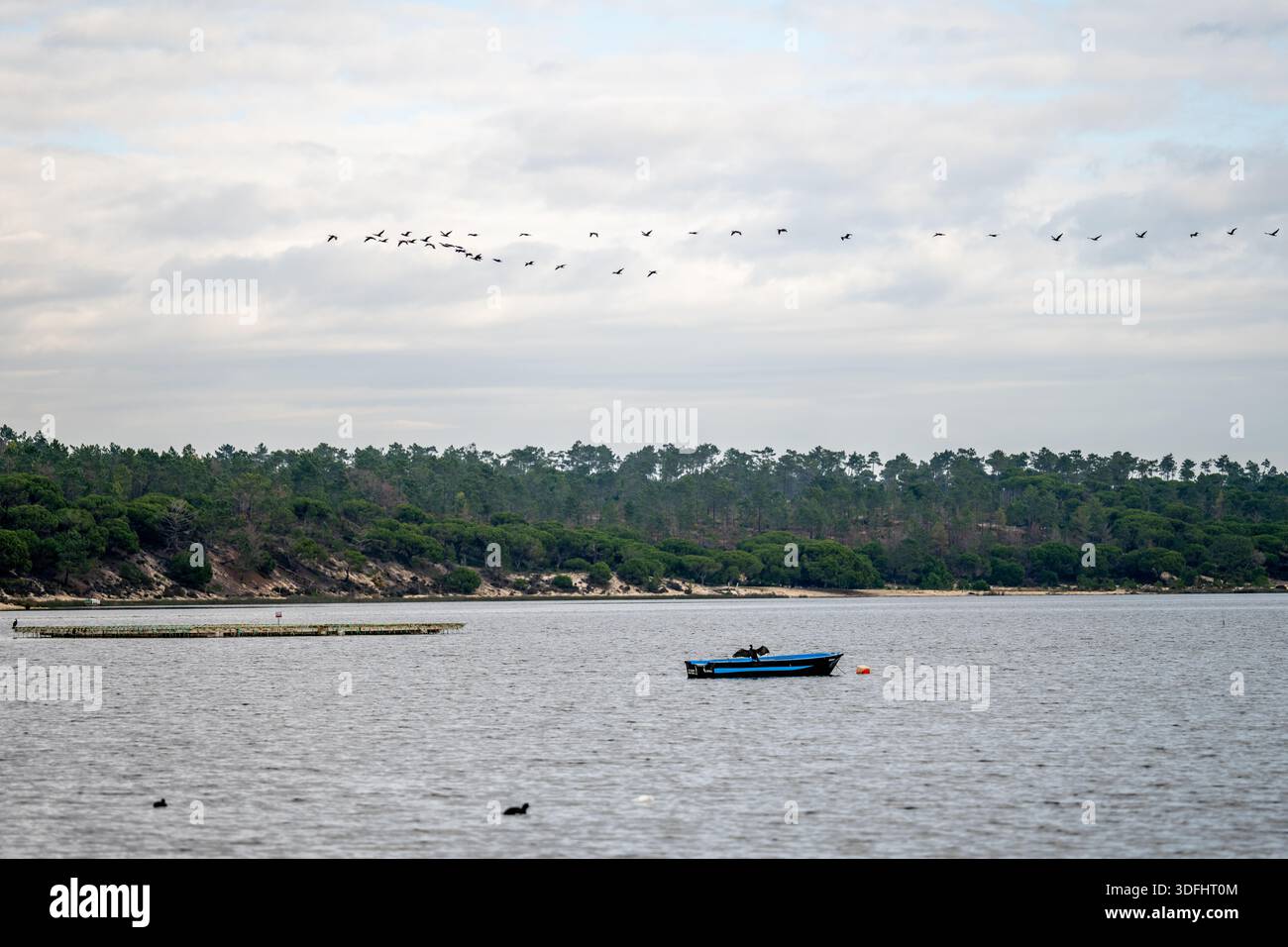 Sesimbra Portugal December 25 2025. Birds fly in formation above ...