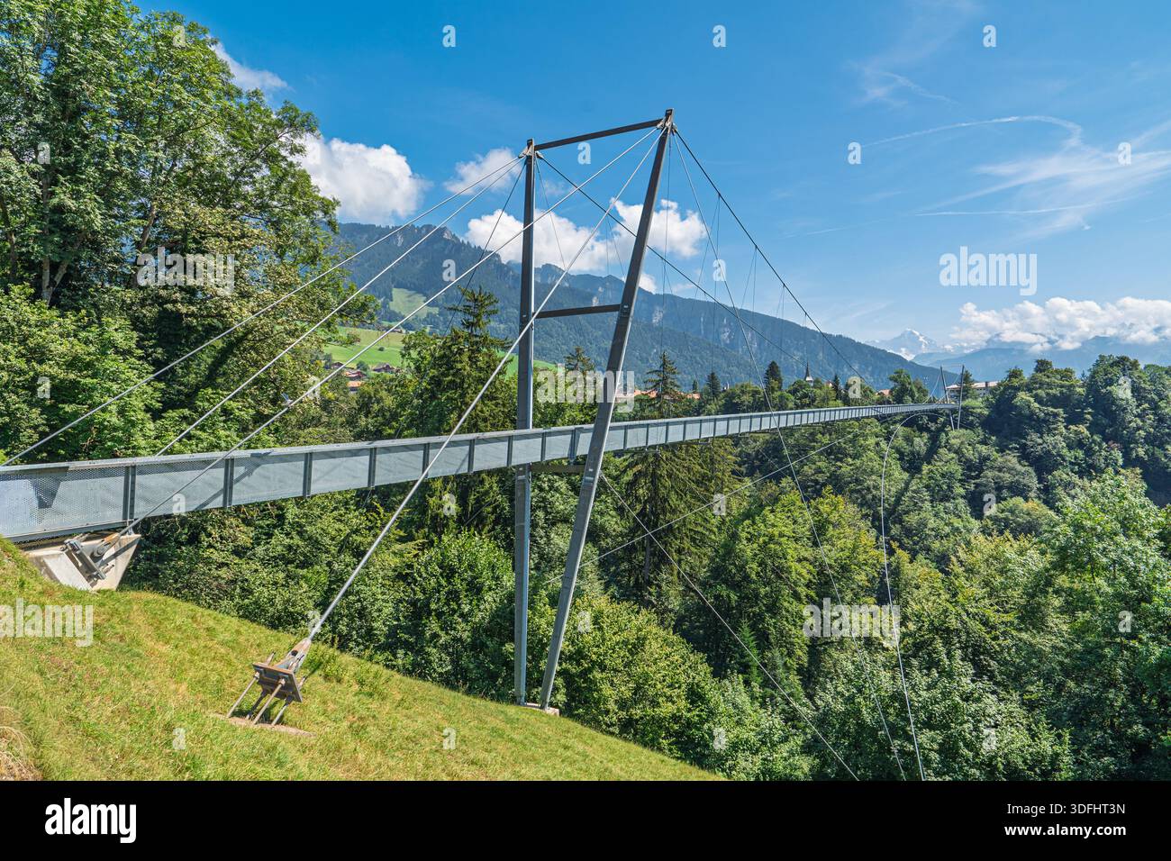 Spectacular Suspension Bridge over Lush Green Landscape on Sunny Day in ...