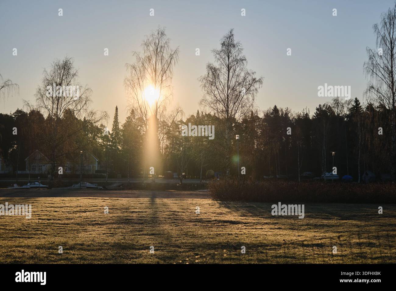 A breathtaking golden sunrise or sunset casts long shadows across a ...