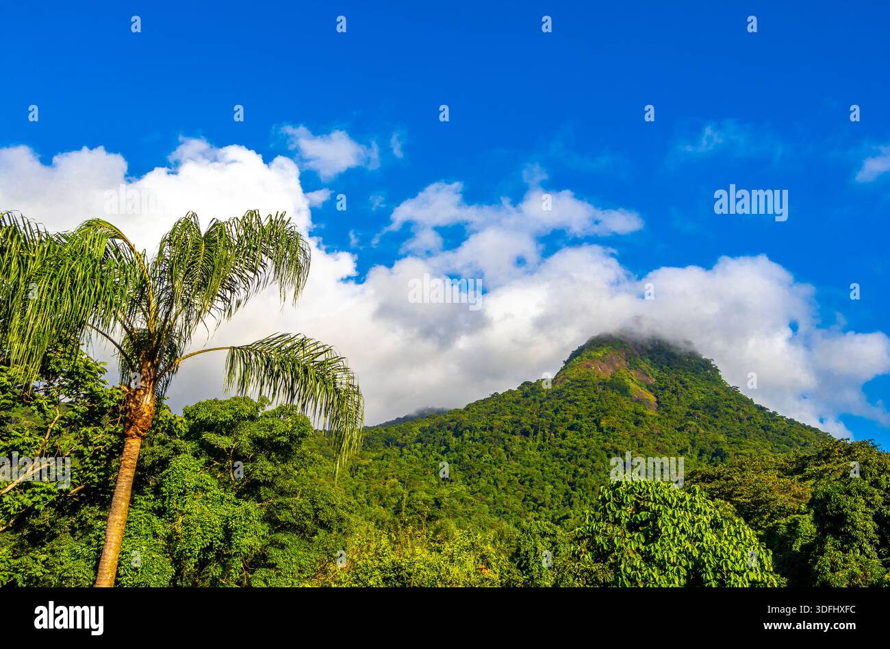 Tropical mountain hill Pico do Papagaio with jungle rainforest tree ...