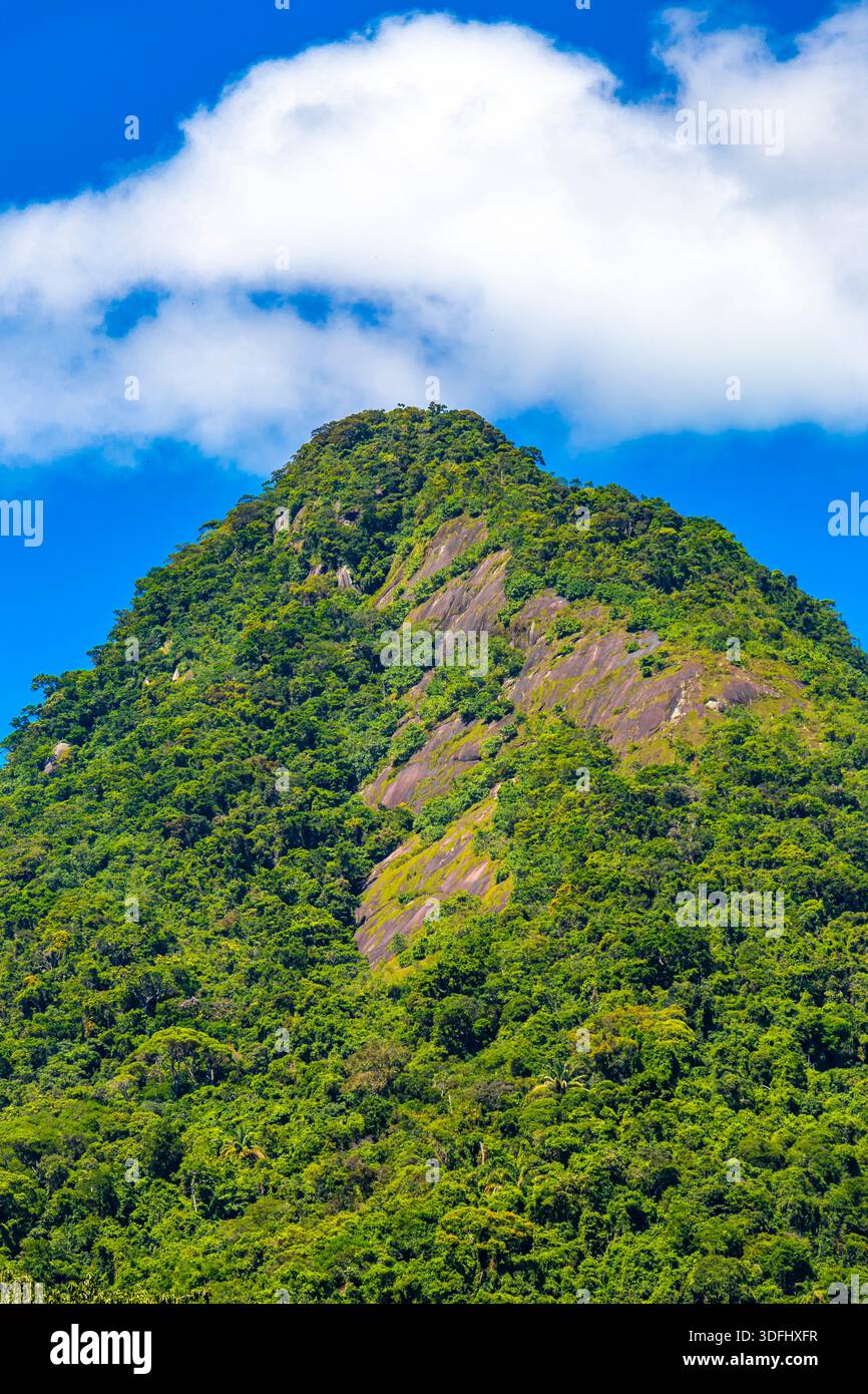 Tropical mountain hill Pico do Papagaio with jungle rainforest tree ...