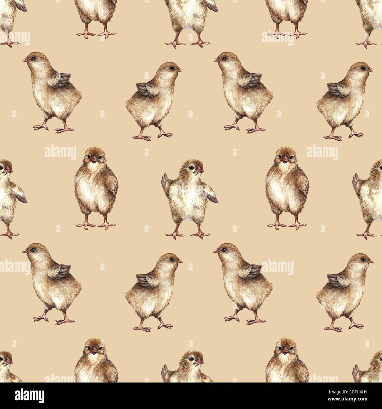 Seamless pattern with cute little chickens. Hand-drawn watercolor ...