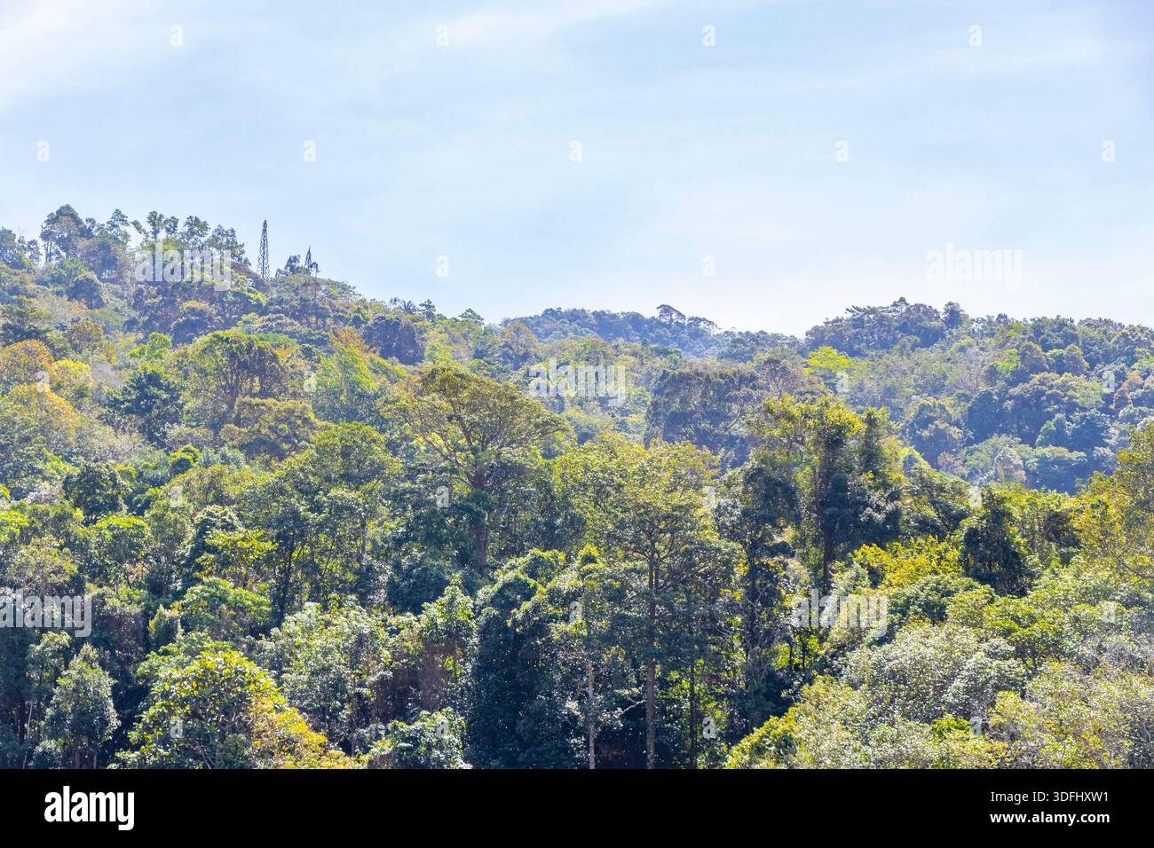 Tropical mountain with jungle forest trees plants clouds and blue sky ...