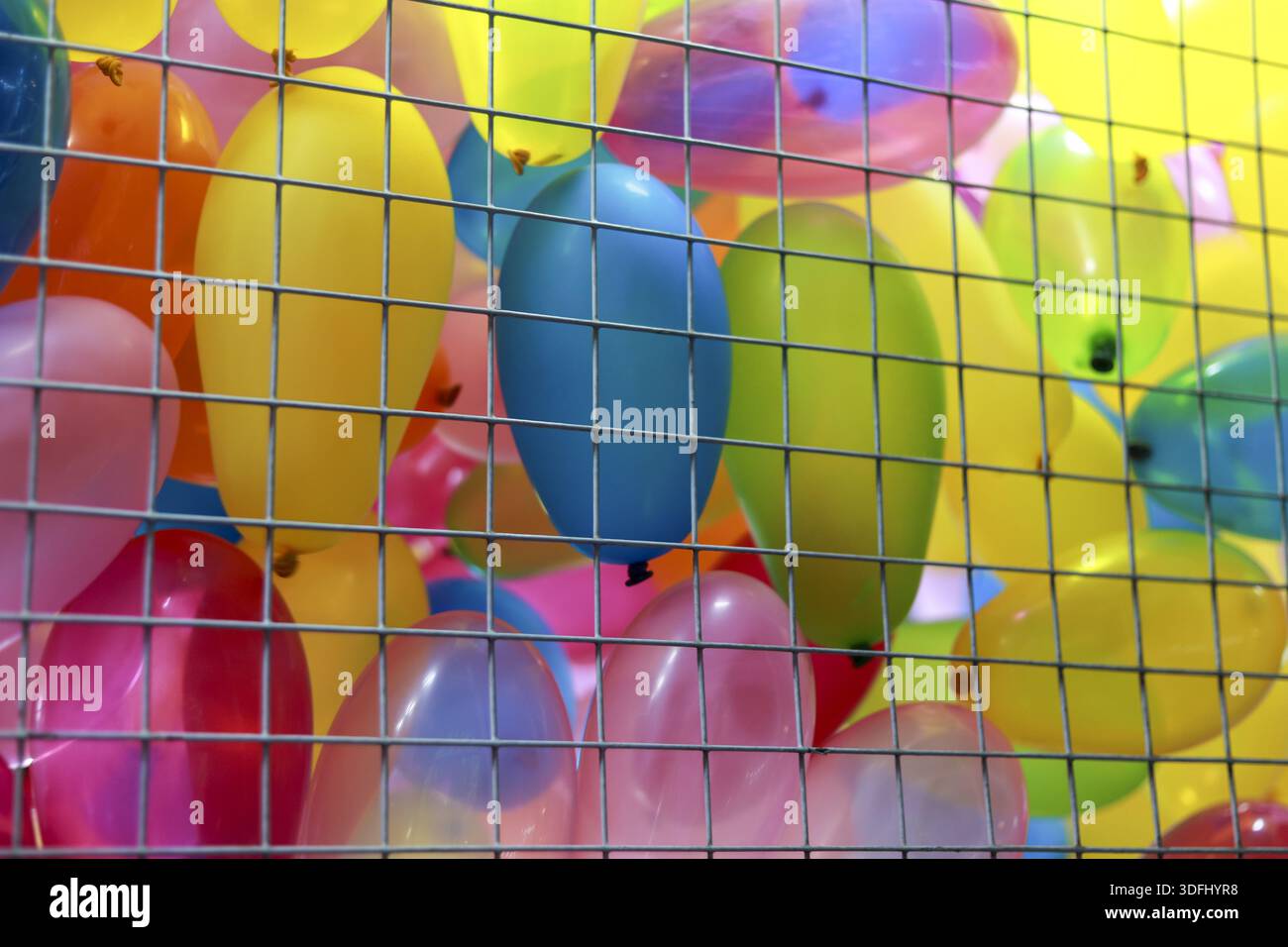 Bright colorful balloons trapped behind wire mesh fence creating joyful ...