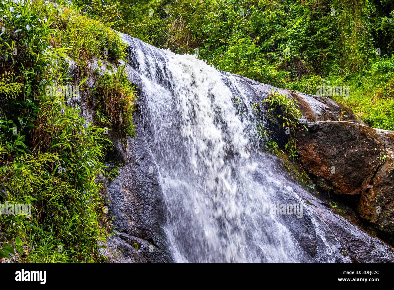 Cachoeira da Feiticeira waterfall waterfalls fall falls cascade in the ...