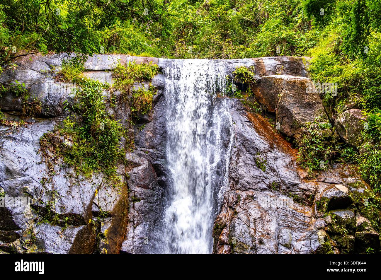 Cachoeira da Feiticeira waterfall waterfalls fall falls cascade in the ...