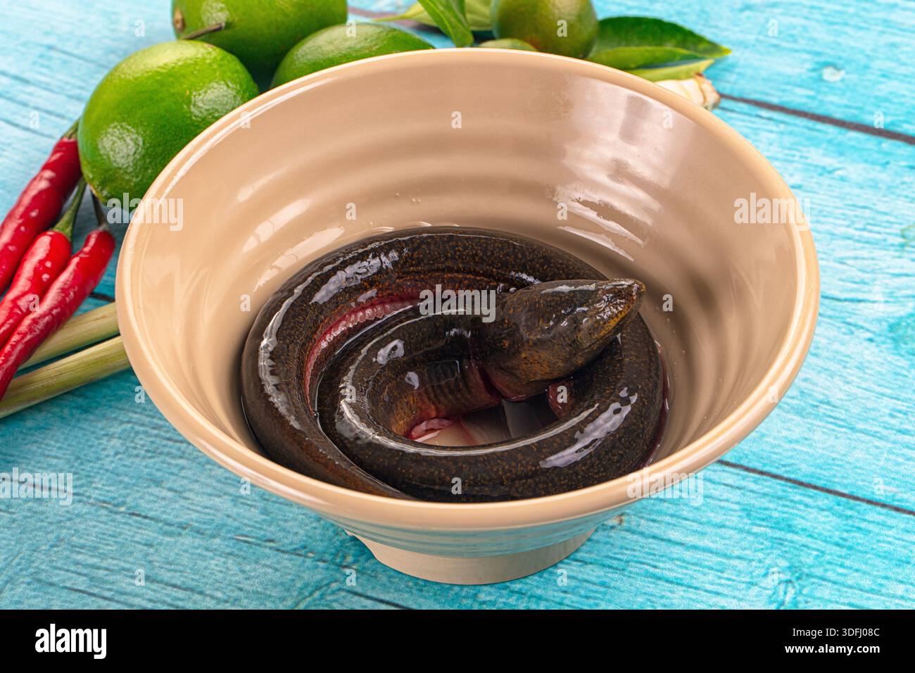 Fresh raw gourmet eel fish for cooking Stock Photo - Alamy