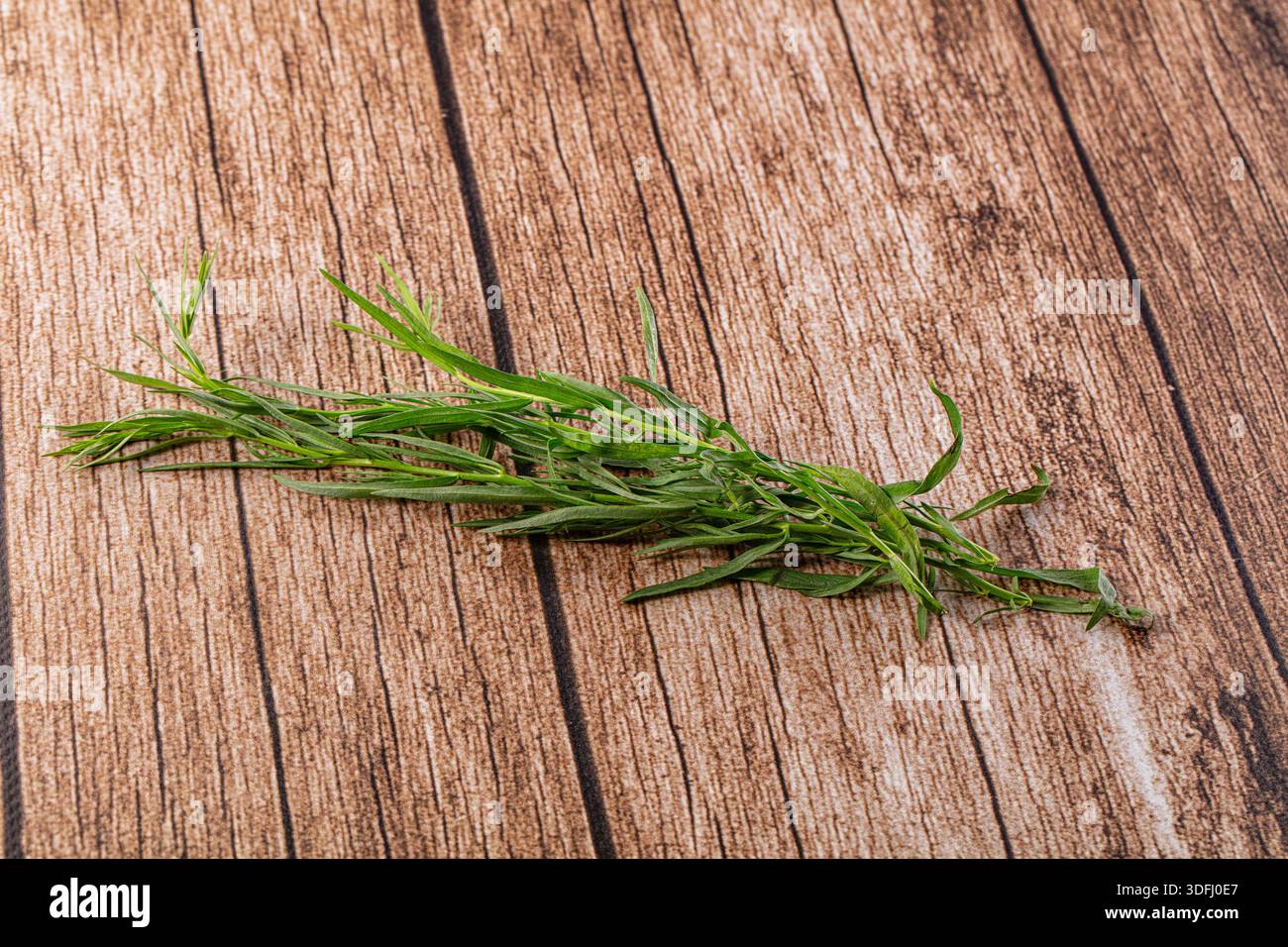 Fresh green tarragon aromatic grass herb for cooking Stock Photo - Alamy