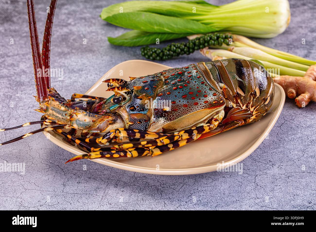 Raw wild fresh spiny lobster for cooking Stock Photo - Alamy