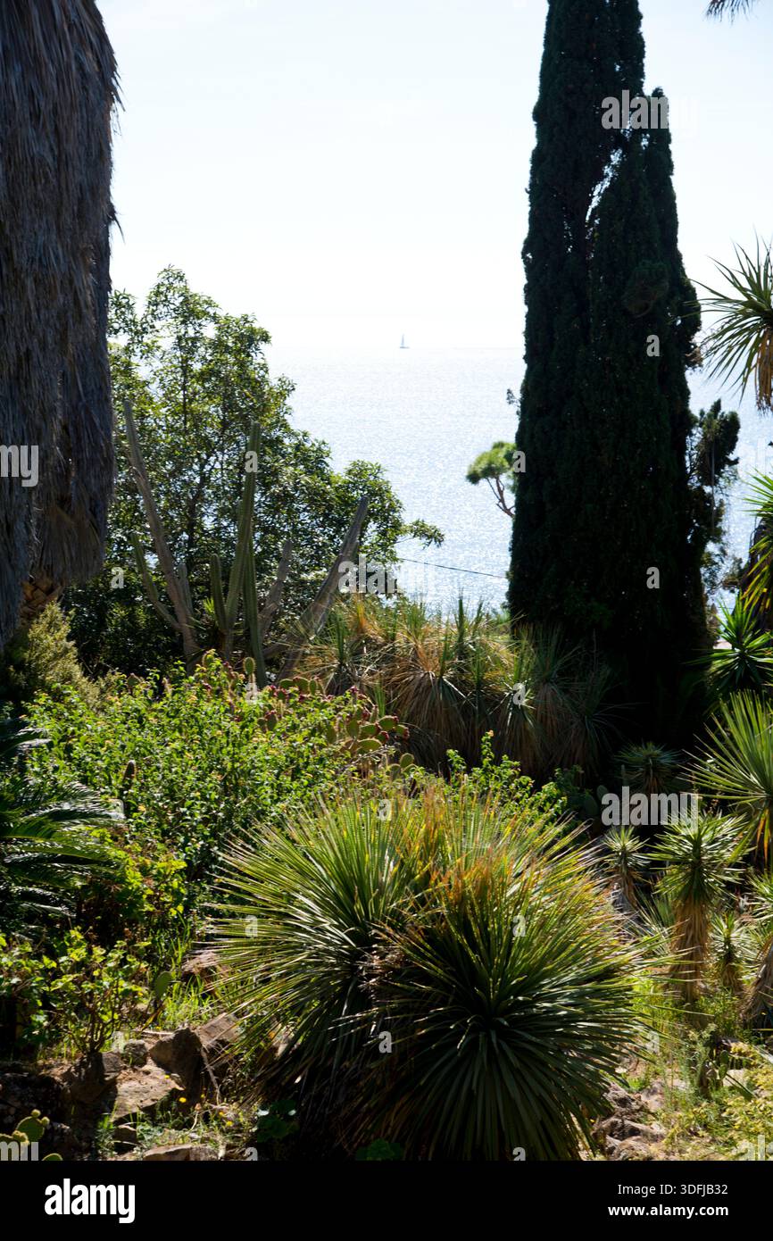 Marimurtra Botanical Garden,Blanes,Costa Brava,Spain.Most beautiful ...