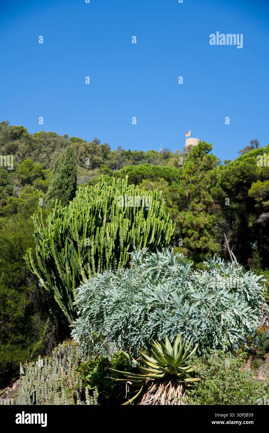 Marimurtra Botanical Garden,Blanes,Costa Brava,Spain.Most beautiful ...