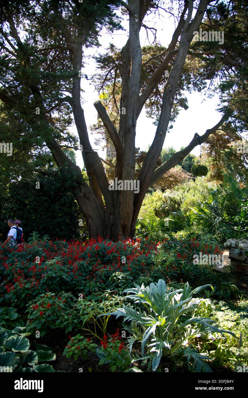 Marimurtra Botanical Garden,Blanes,Costa Brava,Spain.Most beautiful ...
