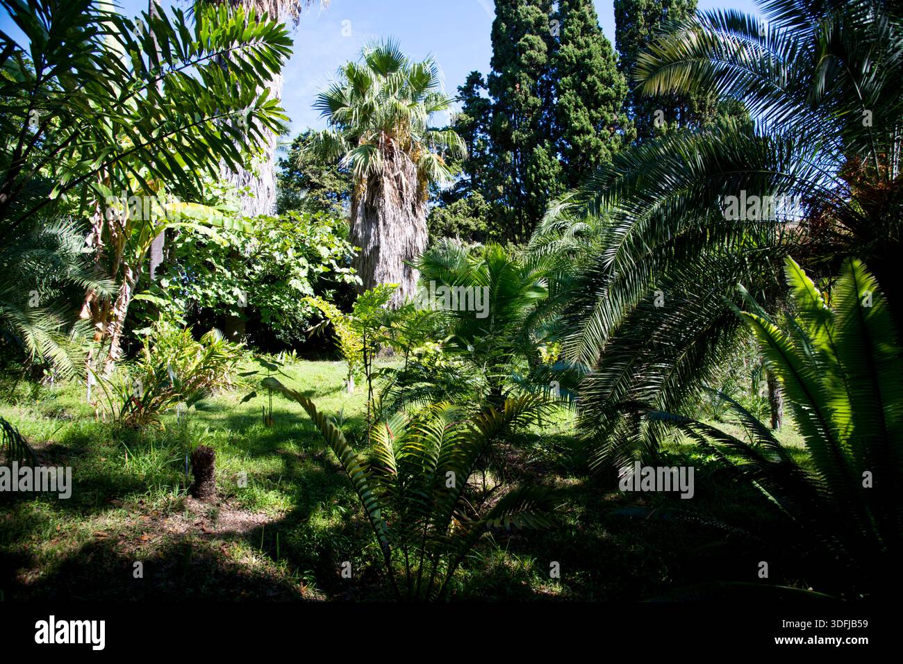 Marimurtra Botanical Garden,Blanes,Costa Brava,Spain.Most beautiful ...