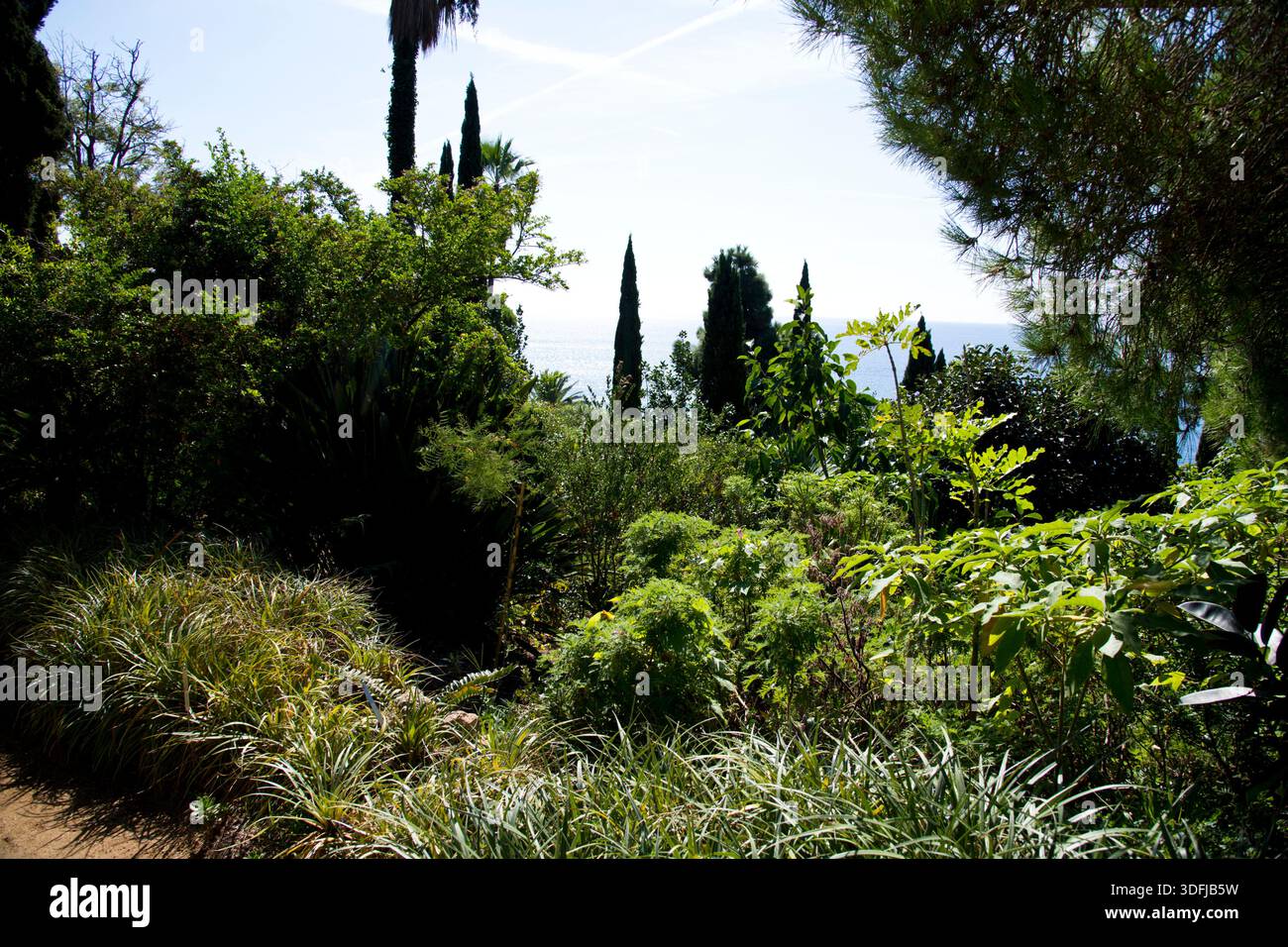 Marimurtra Botanical Garden,Blanes,Costa Brava,Spain.Most beautiful ...