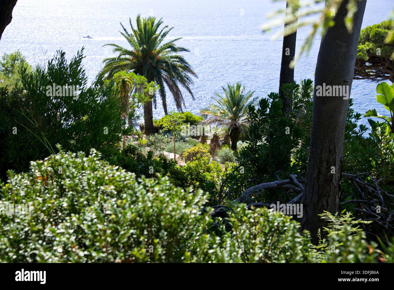 Marimurtra Botanical Garden,Blanes,Costa Brava,Spain.Most beautiful ...