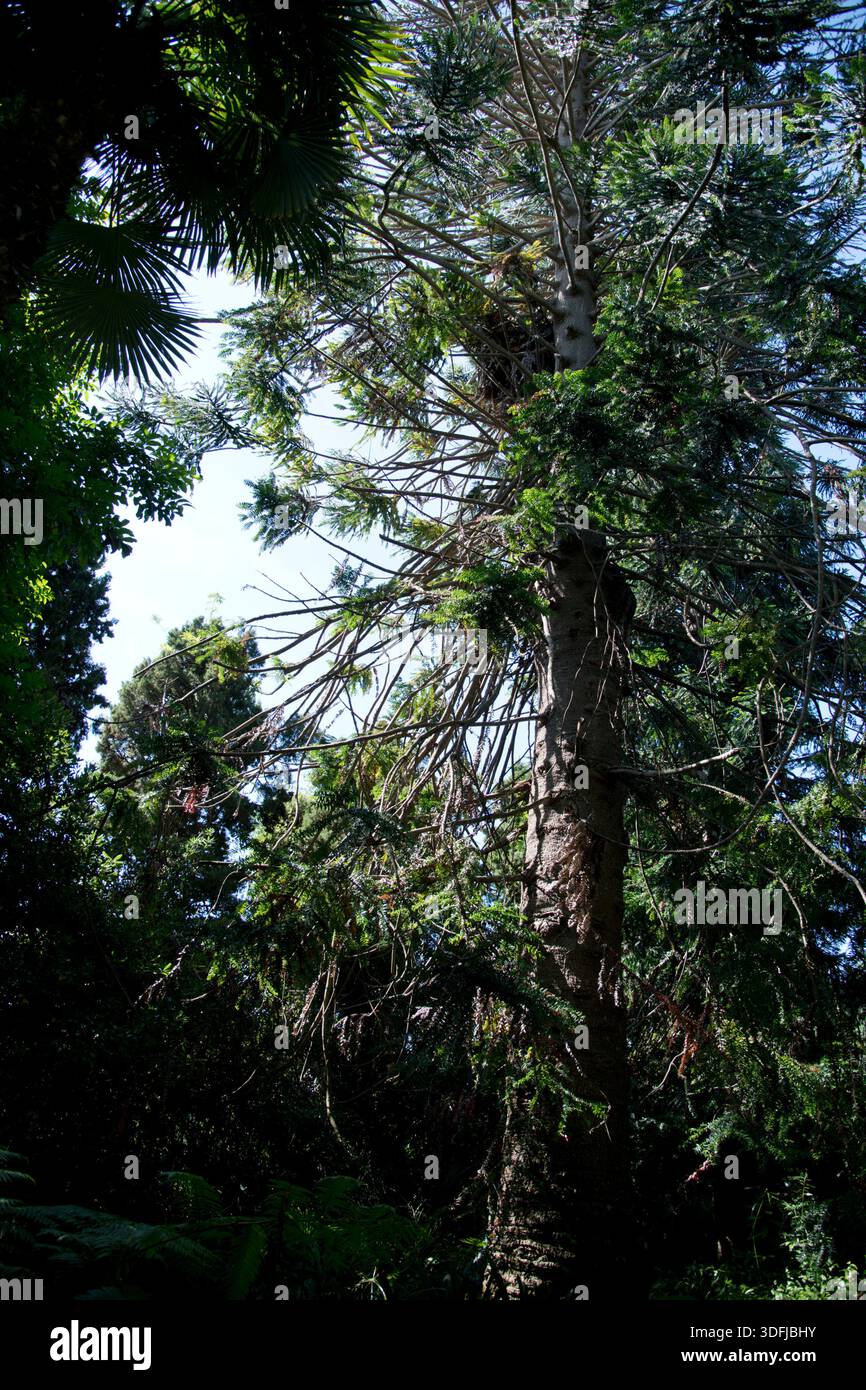 Marimurtra Botanical Garden,Blanes,Costa Brava,Spain.Most beautiful ...