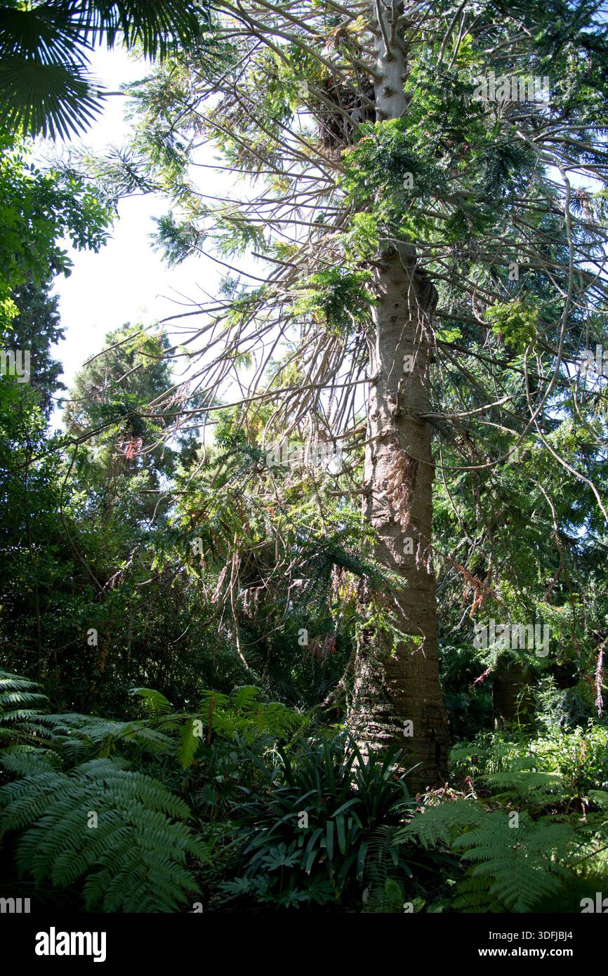 Marimurtra Botanical Garden,Blanes,Costa Brava,Spain.Most beautiful ...