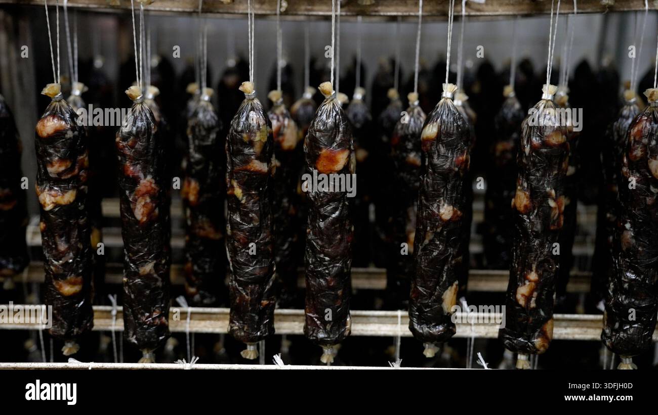 Sausages hanging to dry, undergoing the traditional meat curing process ...