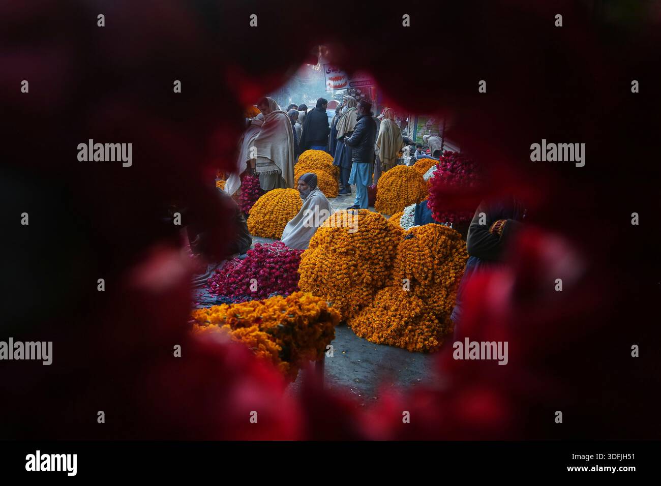 A vendor waits for customers at a flowers market in Peshawar, Pakistan ...