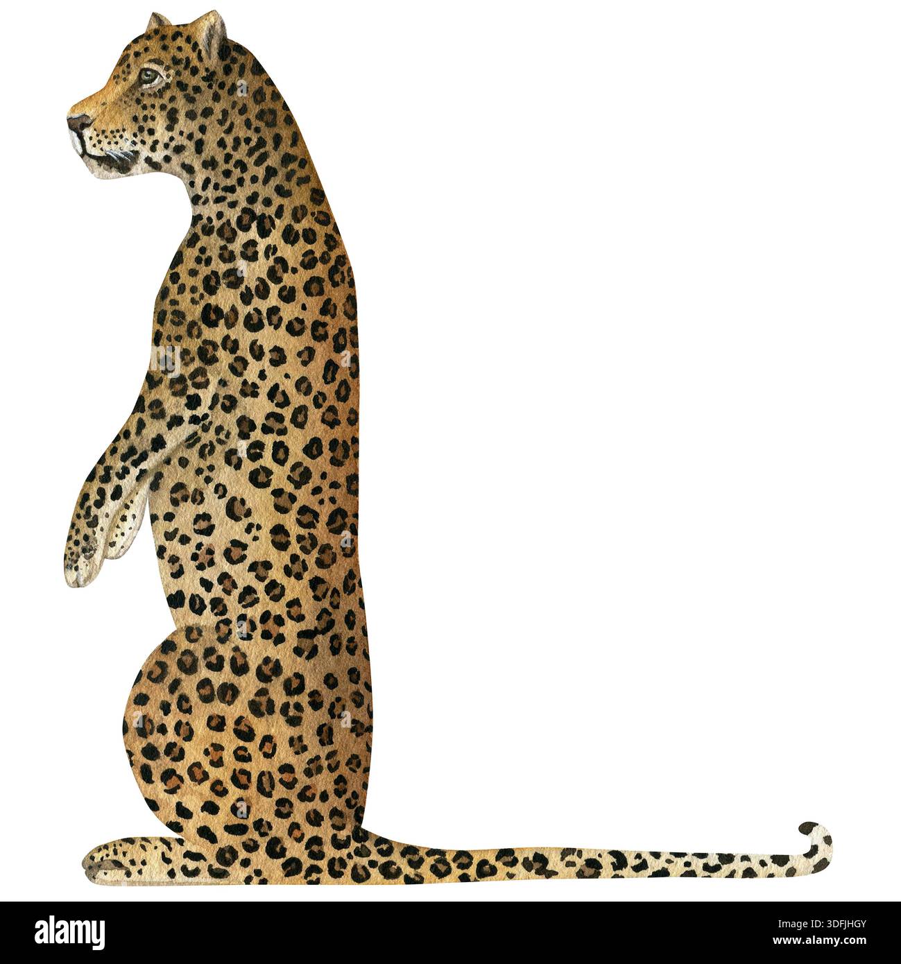 Leopard sits on its hind legs. Hand-drawn watercolor illustration ...