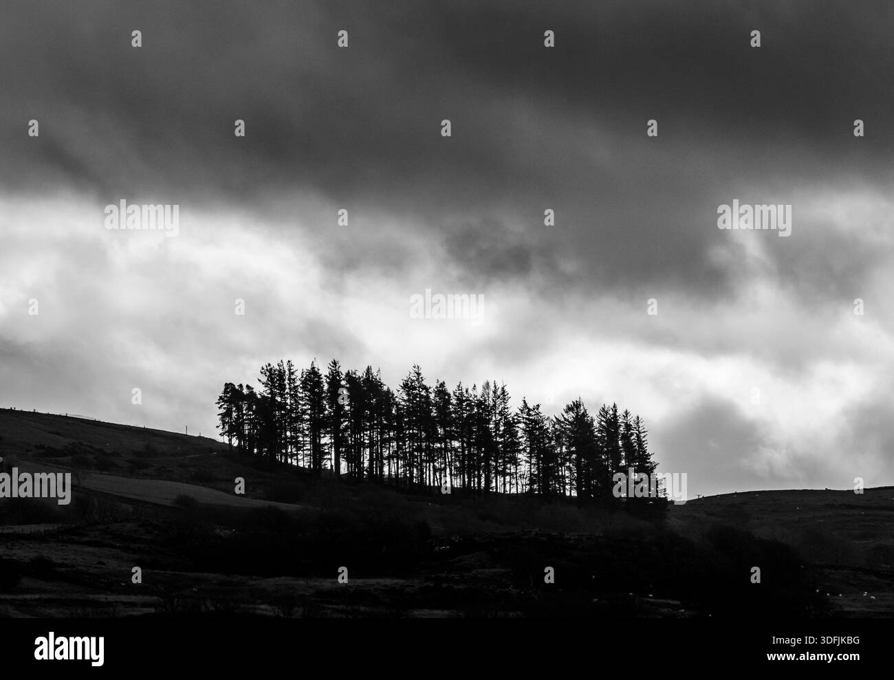 Tonal atmosphere Black and White Stock Photos & Images - Alamy