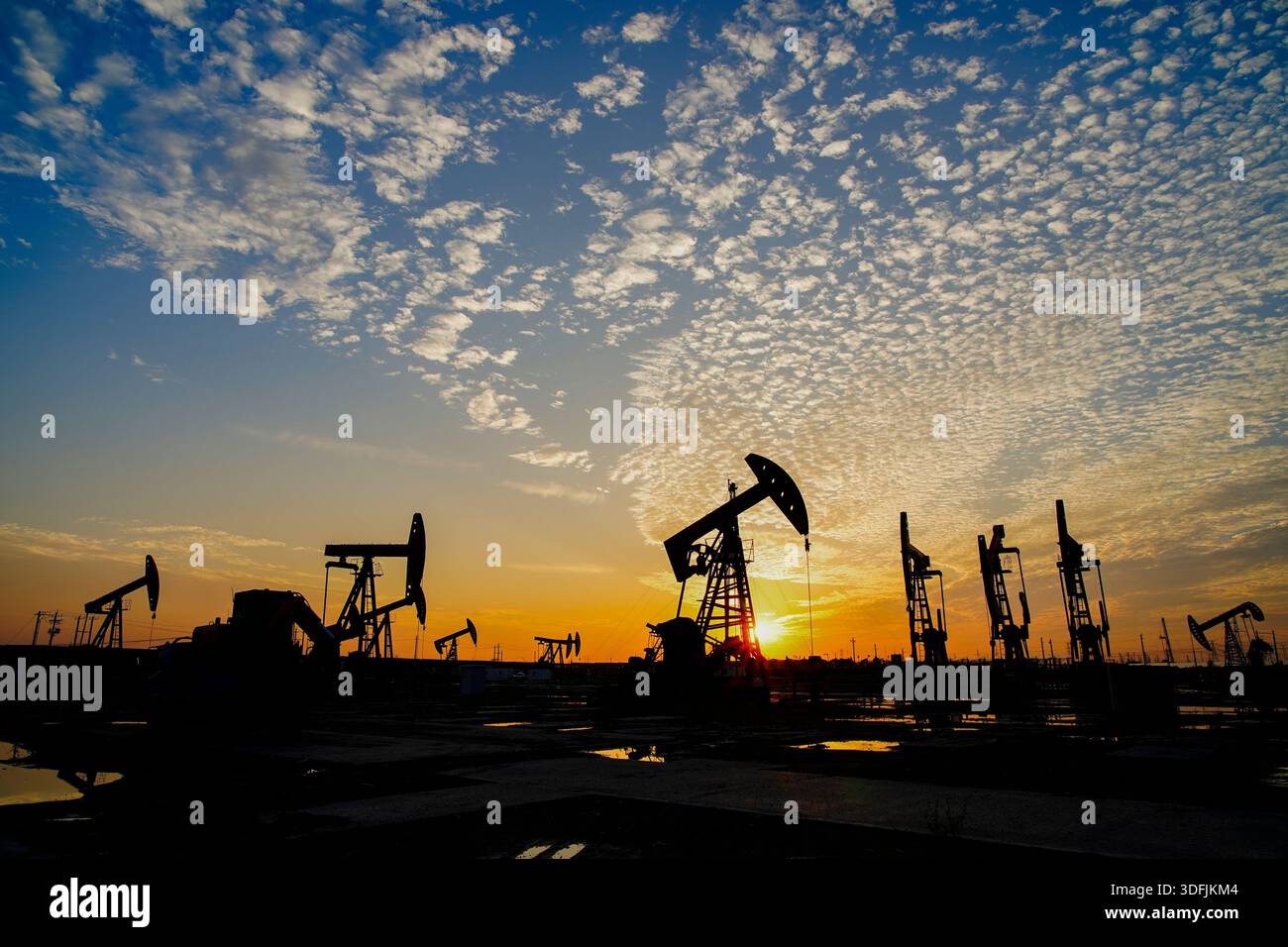 The oil pump, industrial equipment. Oil field site, oil pumps are ...