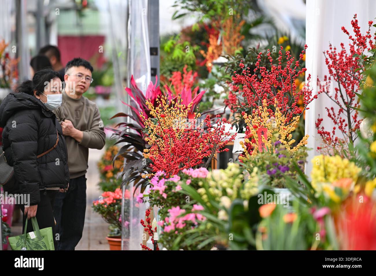 People select New Year's festive flowers at a flower market in Nanjing ...