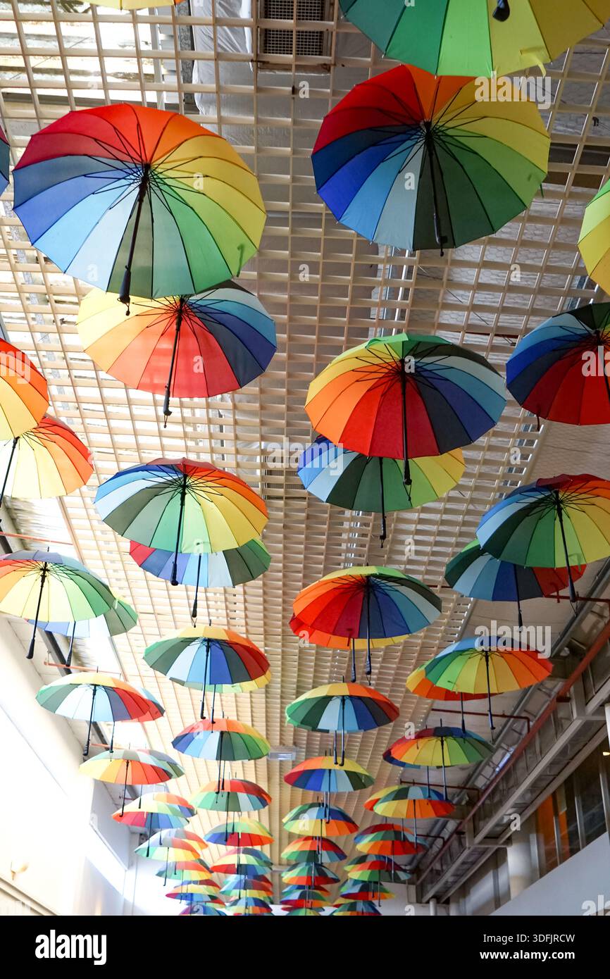 Vibrant umbrellas arranged in rows against a grid background, creating ...