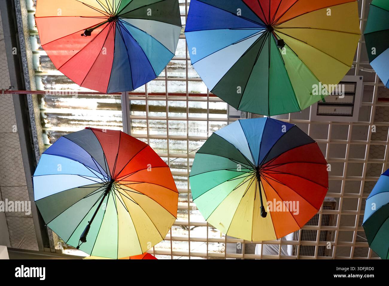 Vibrant umbrellas arranged in rows against a grid background, creating ...