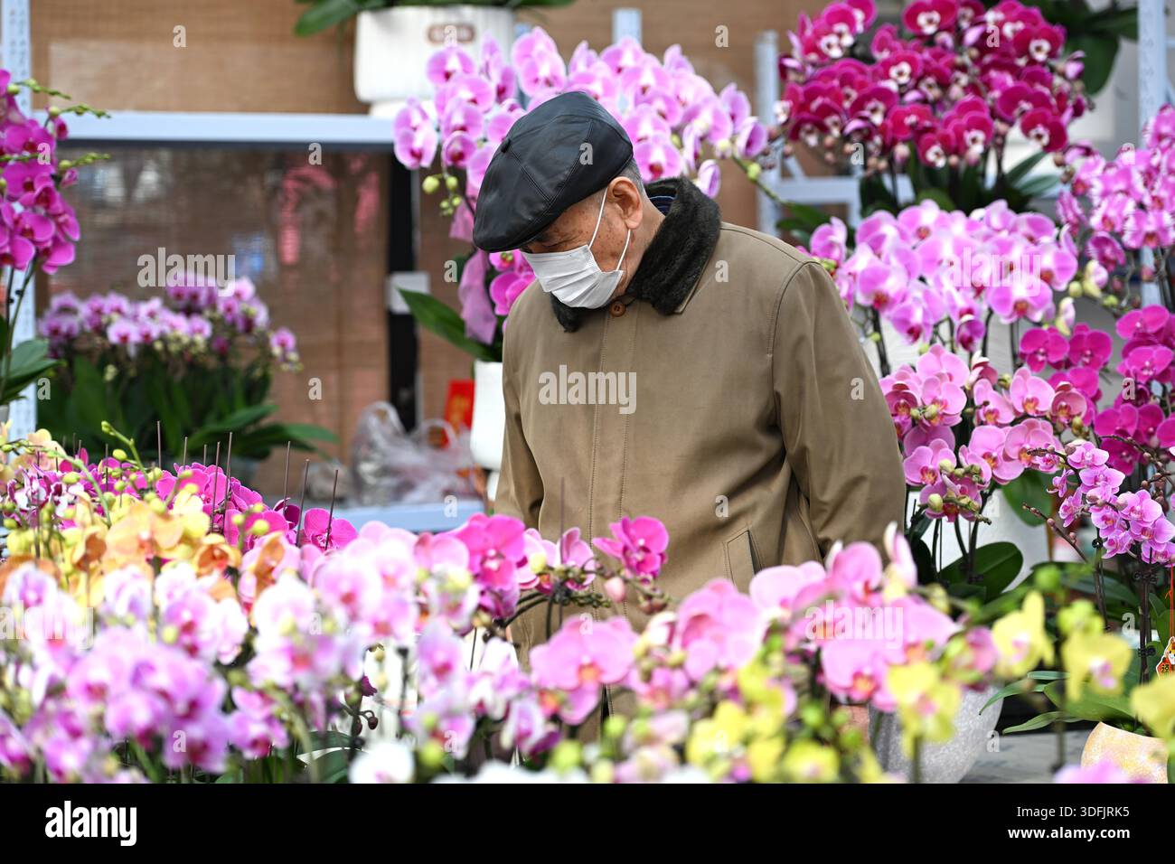 People select New Year's festive flowers at a flower market in Nanjing ...