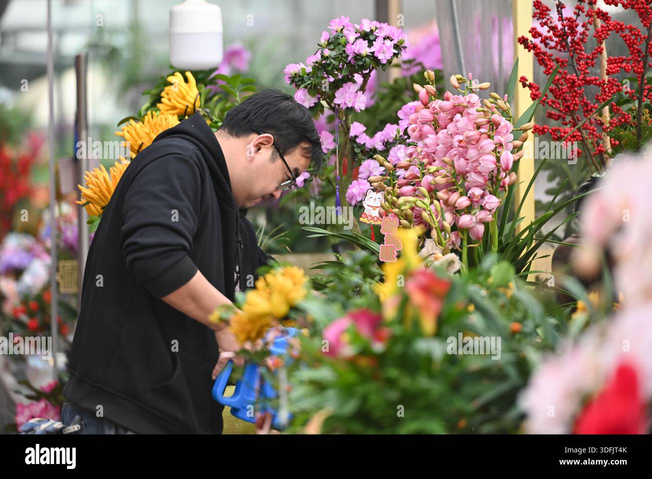 People select New Year's festive flowers at a flower market in Nanjing ...