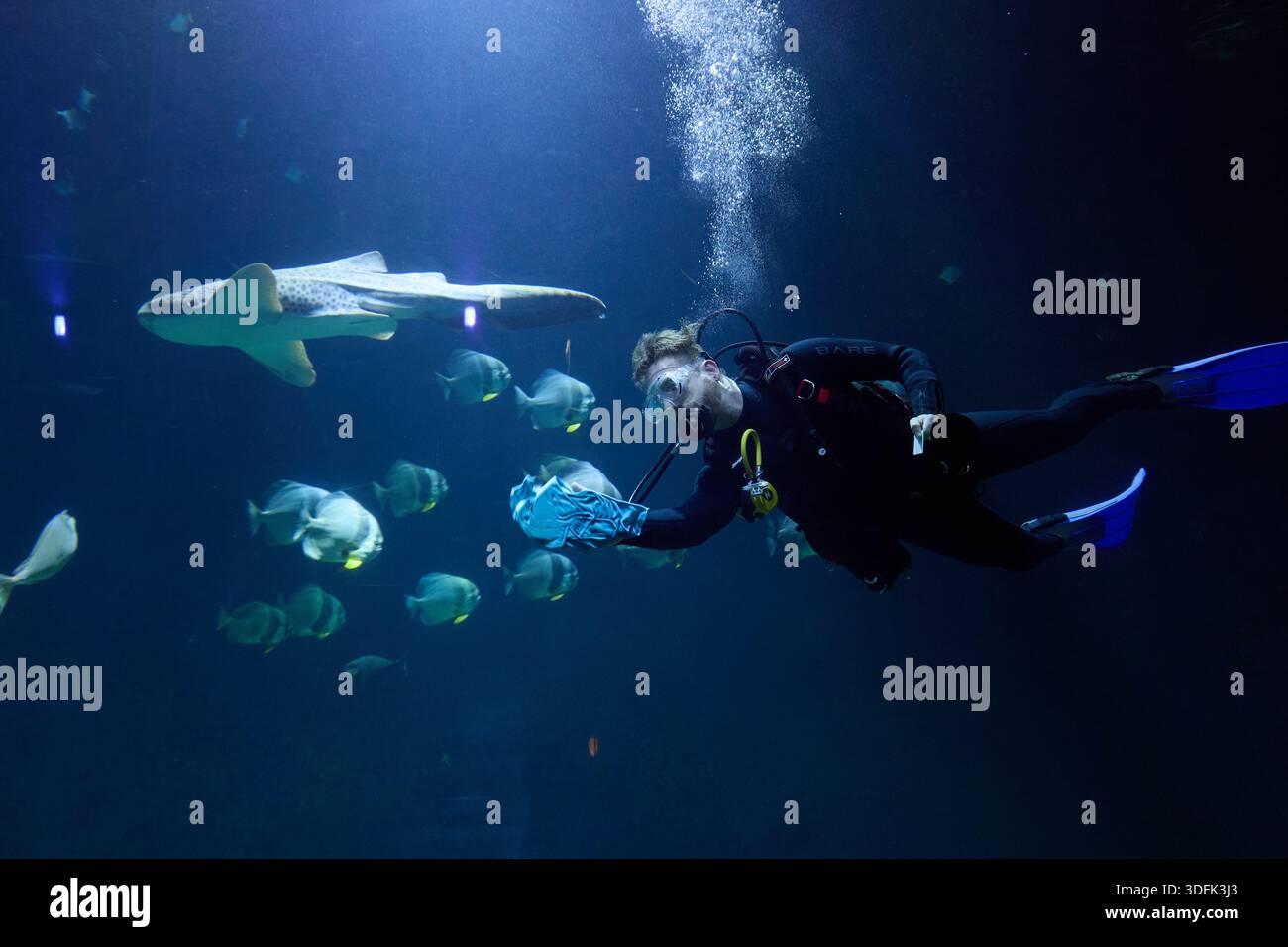 13 January 2026, Hamburg: Jörn-Morten Riedell, Head of Tropical ...