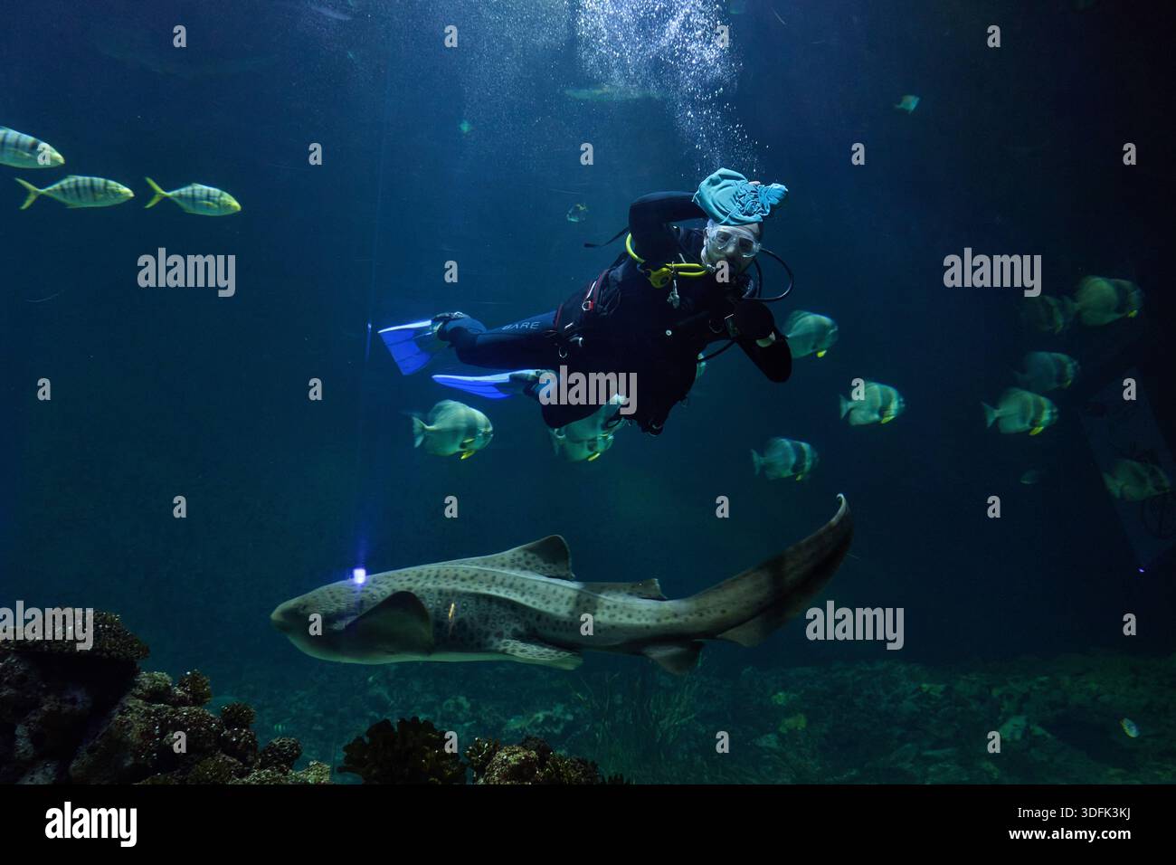 13 January 2026, Hamburg: Jörn-Morten Riedell, Head of Tropical ...