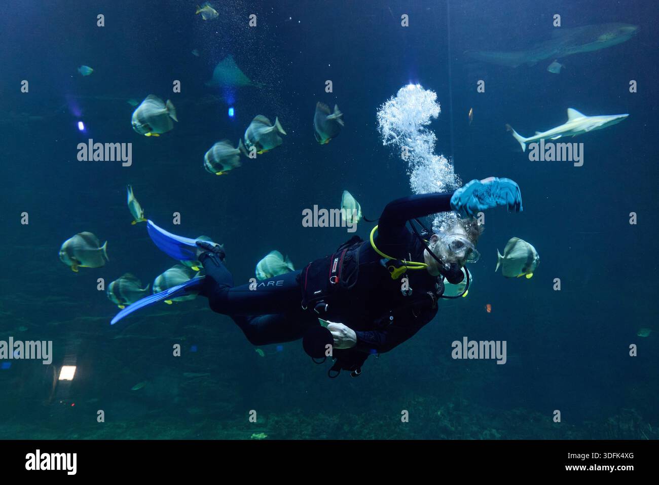 13 January 2026, Hamburg: Jörn-Morten Riedell, Head of Tropical ...