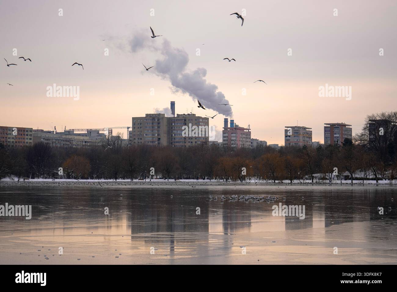 Steam rises from a heating plant as birds fly over a frozen lake in ...