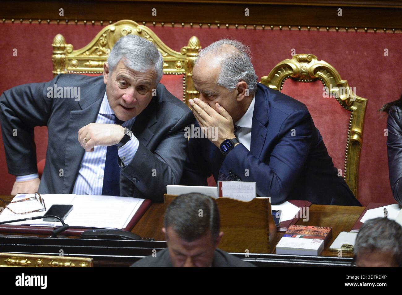 Rome Senate urgent government briefing on the Crans Montana massacre ...