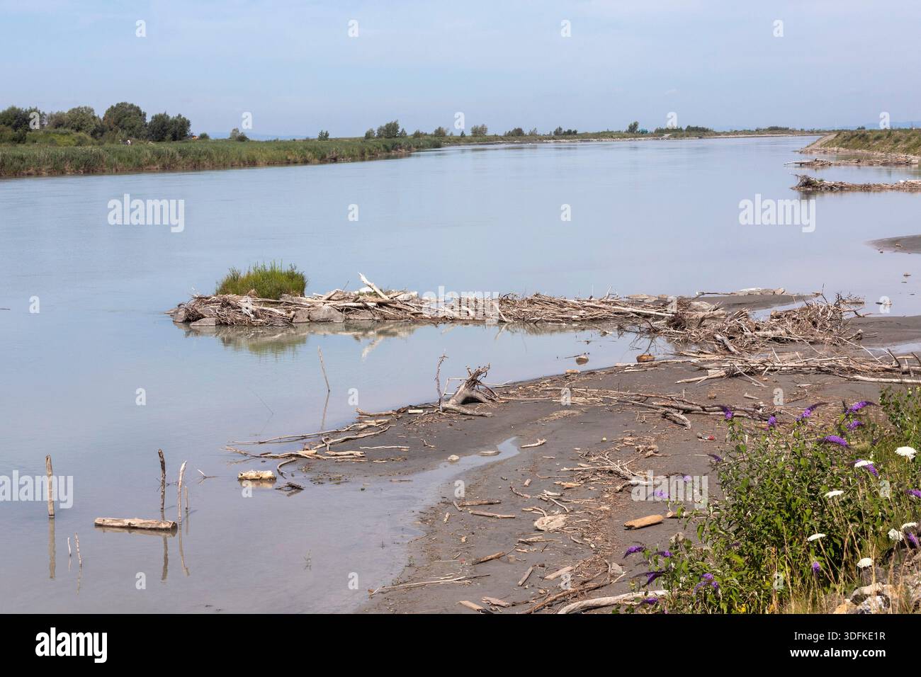 Der Rhein beim Rheinspitz in Hard, Vorarlberg, Österreich // The Rhine ...