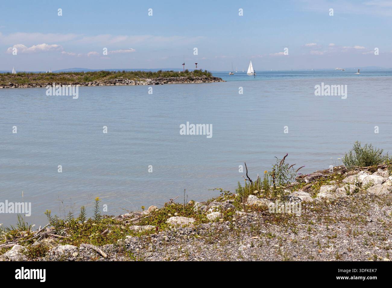 Bodensee, Rheindelta in Hard am Rheinspitz in Vorarlberg, Österreich ...