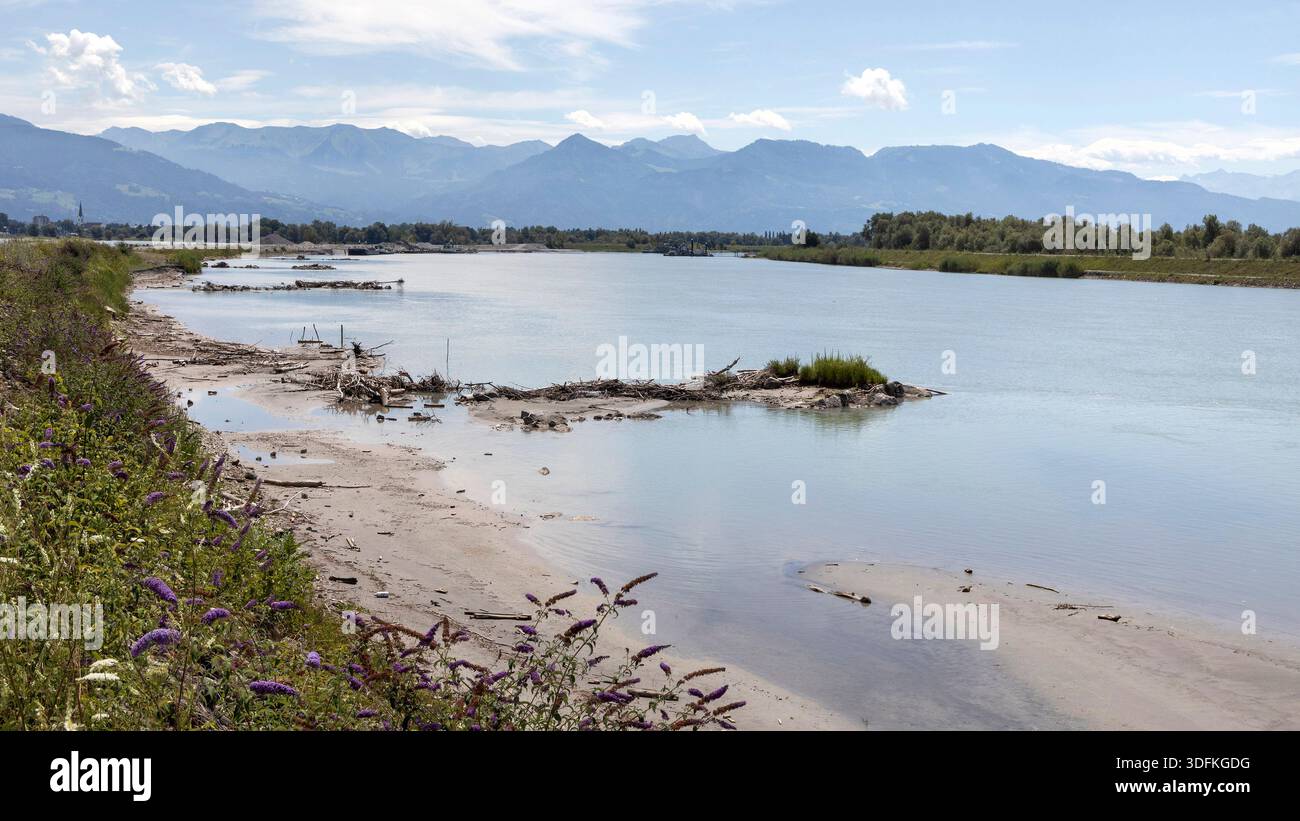 Der Rhein beim Rheinspitz in Hard, Vorarlberg, Österreich // The Rhine ...