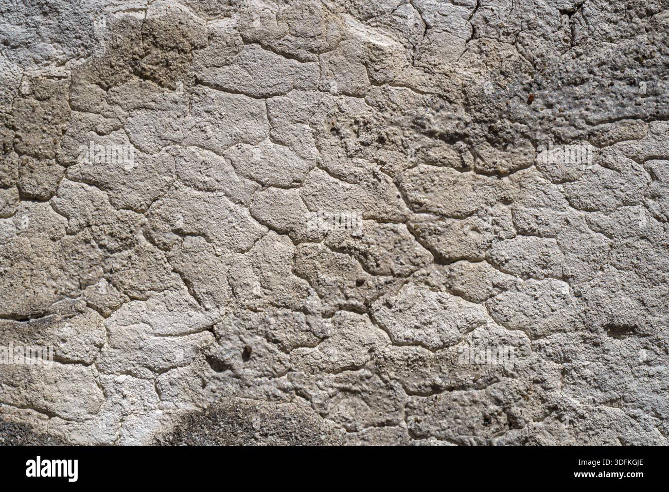 Texture of gray rough plaster. Abstract design background Stock Photo ...