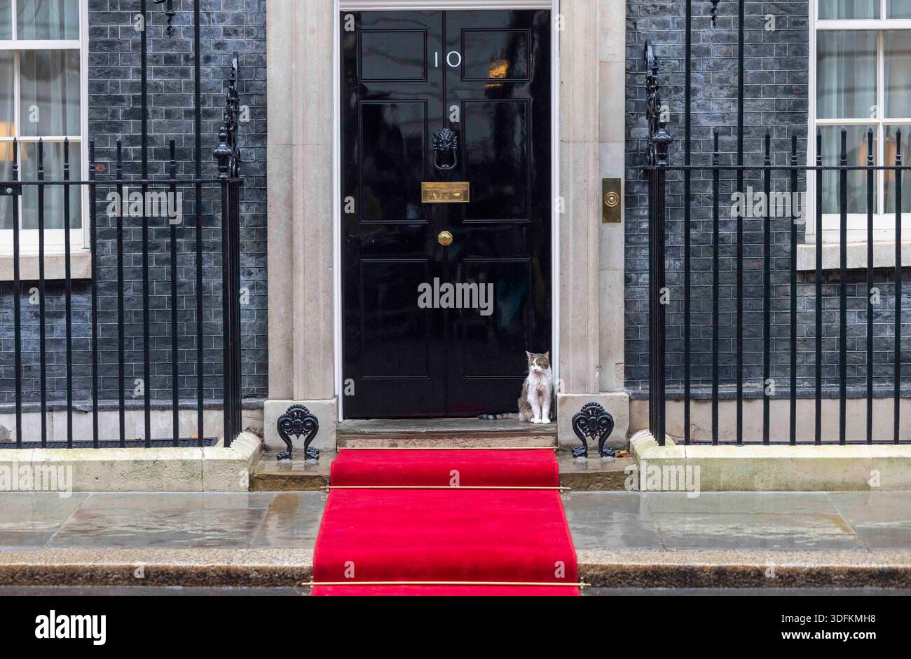 London, UK 13th Jan 2026 Larry the Cat, Chief Mouser to the Treasury ...