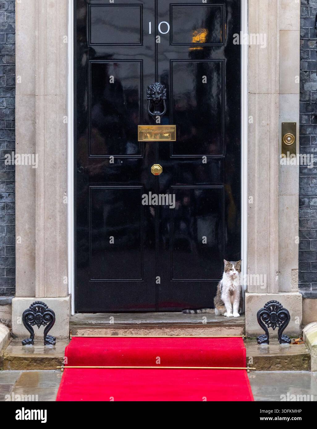 London, UK 13th Jan 2026 Larry the Cat, Chief Mouser to the Treasury ...