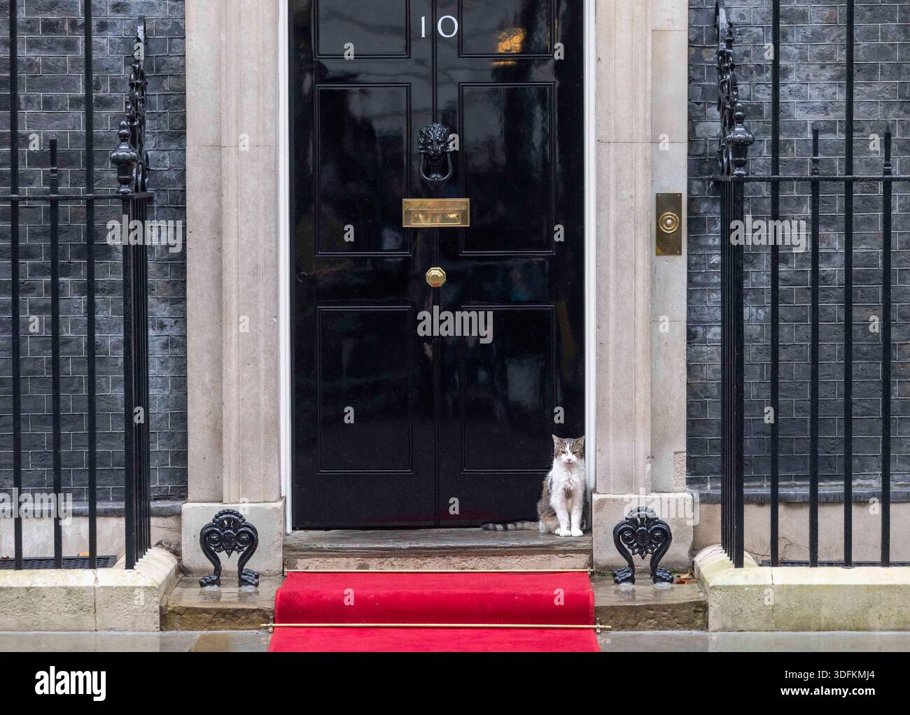 London, UK 13th Jan 2026 Larry the Cat, Chief Mouser to the Treasury ...