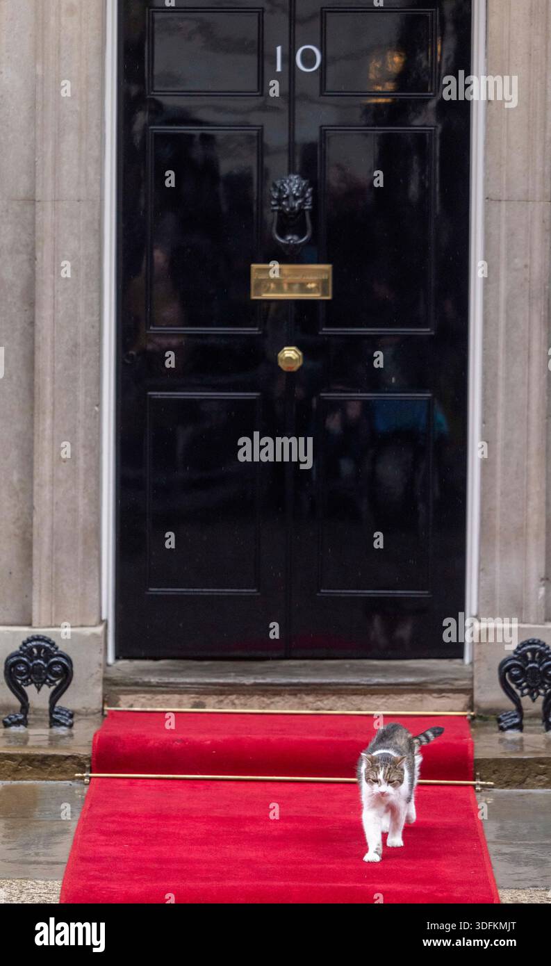 London, UK 13th Jan 2026 Larry the Cat, Chief Mouser to the Treasury ...
